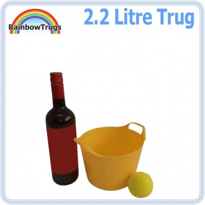 2.2 Litre Rainbow Mini-Tub® | Rainbow Trugs®